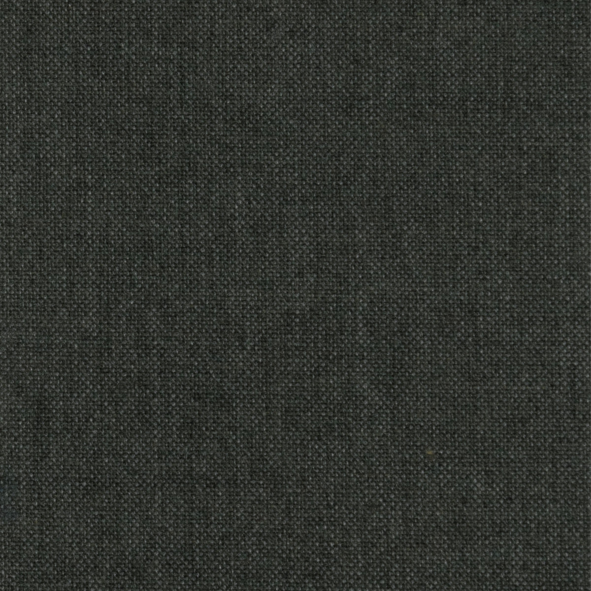 TI: Sunbrella® Cast Sage Swatch – Modernica