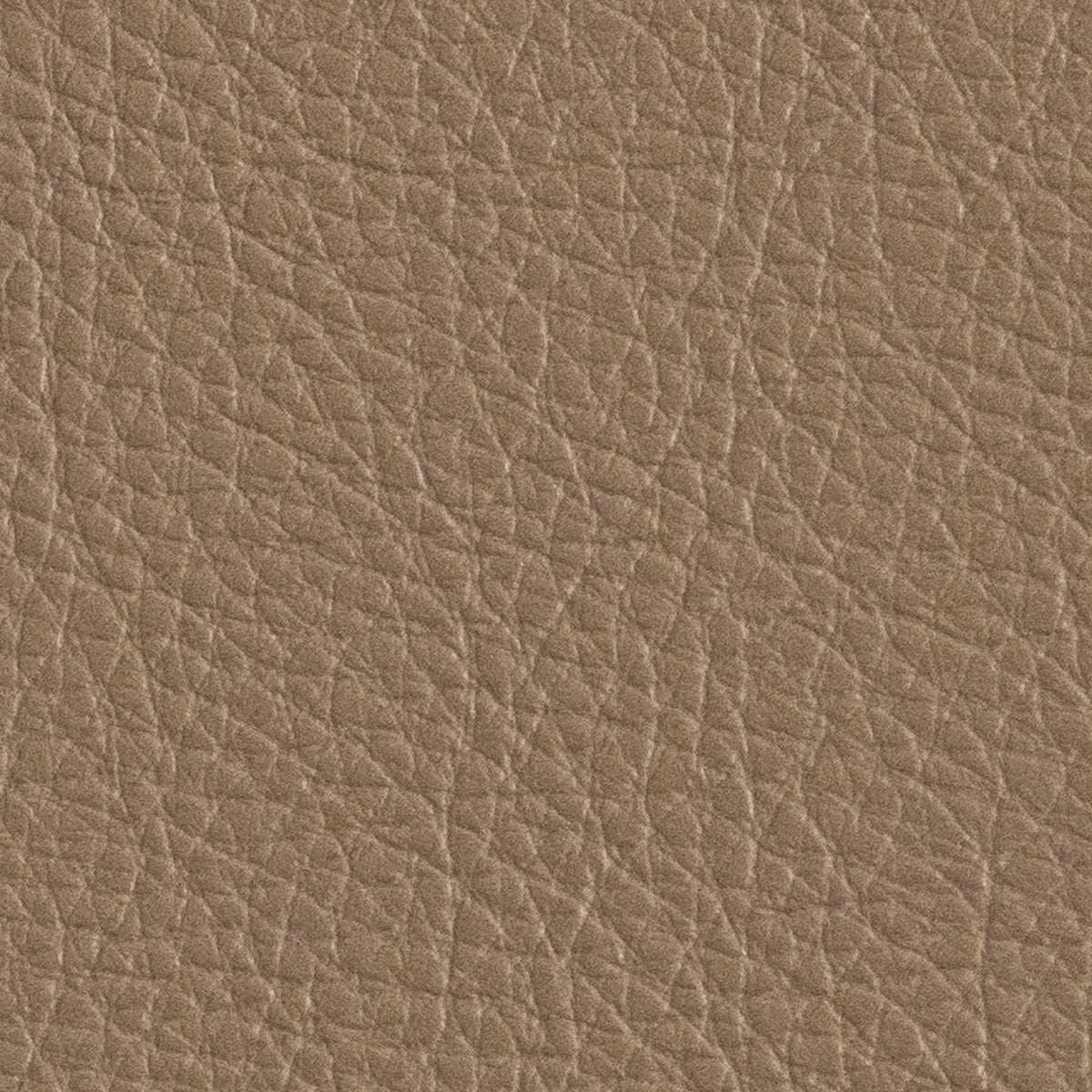 Vinyl Classic Papyrus Swatch – Modernica Inc