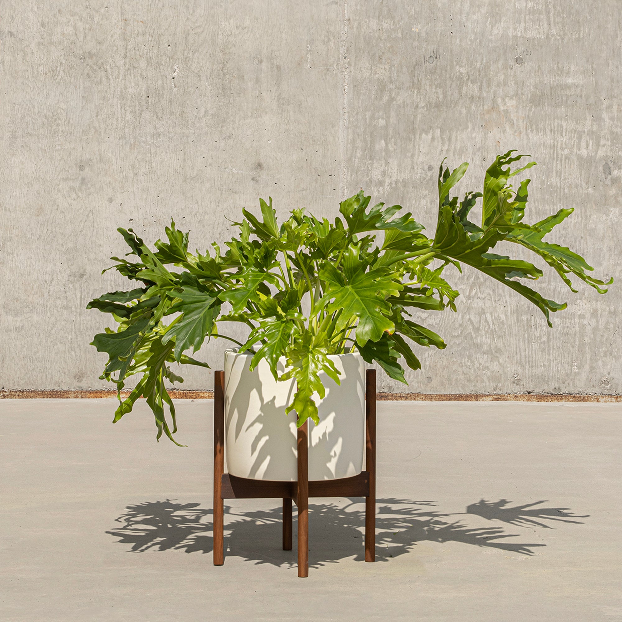 Case Study® Ceramics Small Cylinder with Stand – Modernica Inc