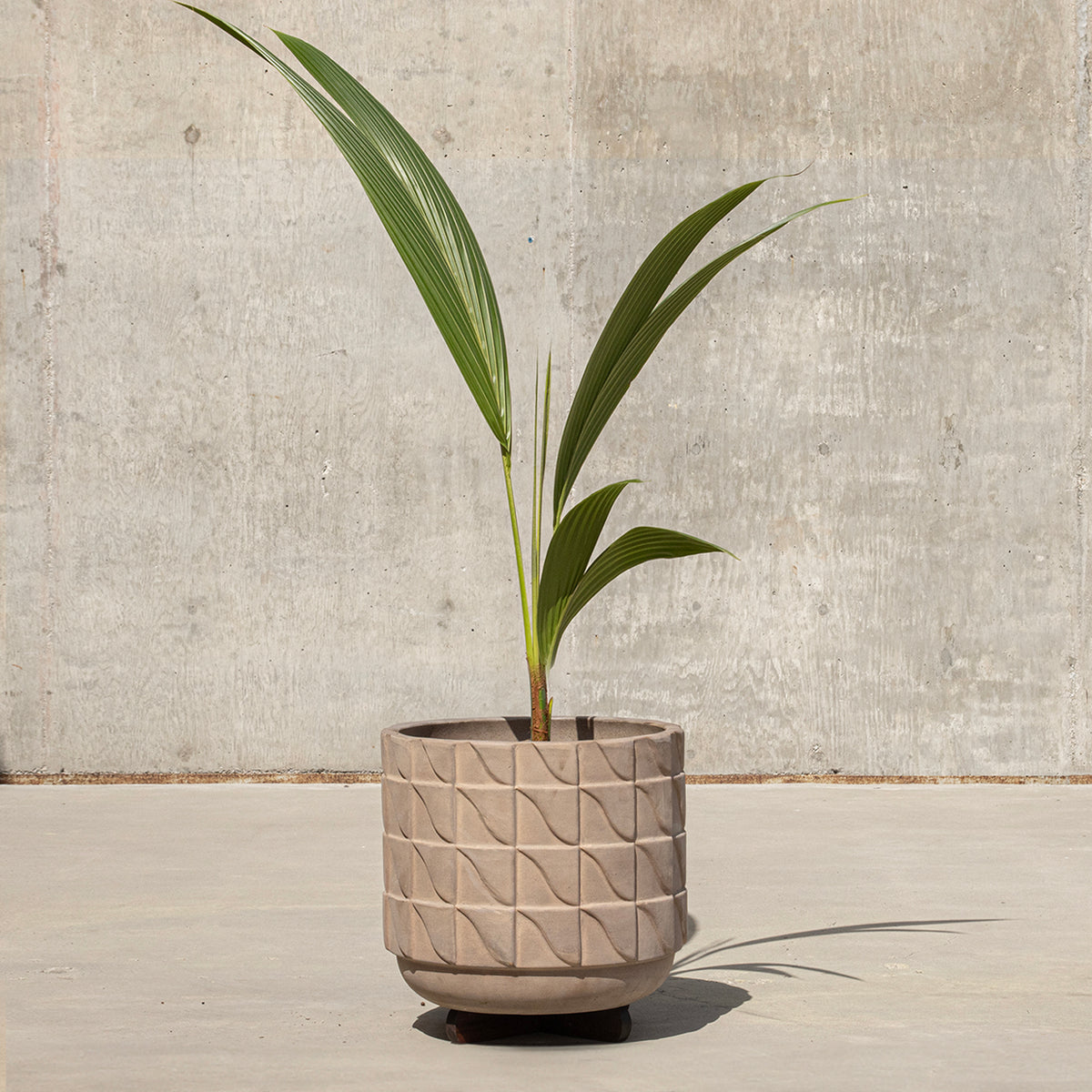 Case Study® Ceramics Large Wave Planter - Modern Indoor Outdoor Ceramic ...