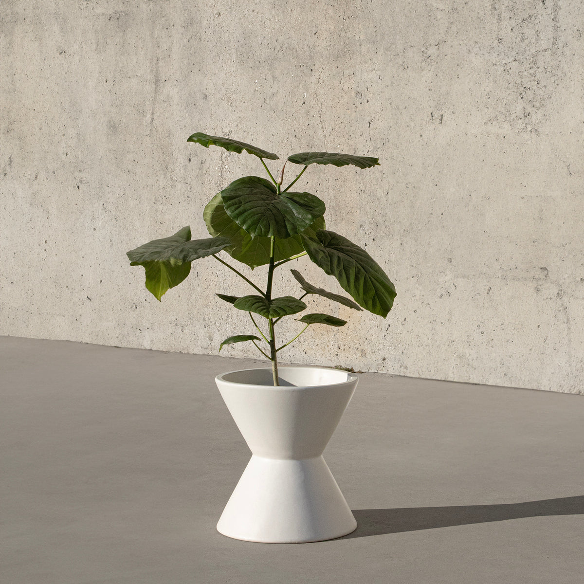 Case Study® Ceramics Small Hourglass Planter - Modern Indoor Outdoor ...