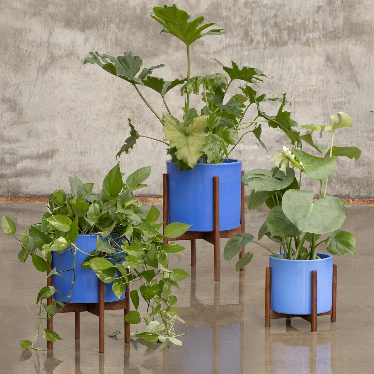 Case Study® Table Top and Cylinder Planter Trio – Modernica