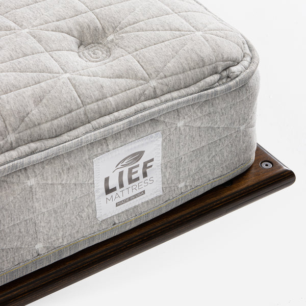 Case Study® Furniture Bentwood Bed – Modernica Inc