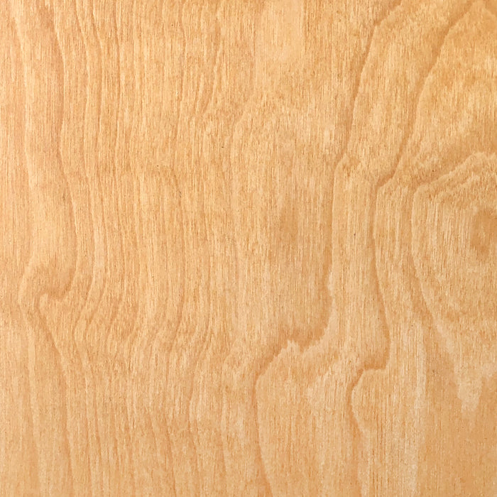 Custom Dimple Door – Modernica Inc